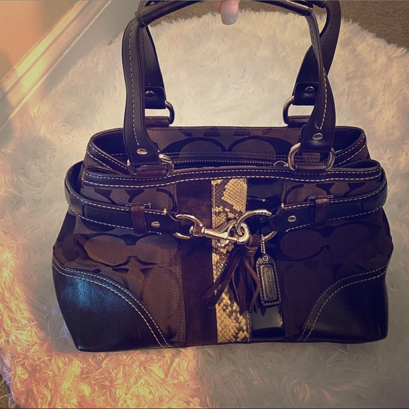 Coach | Bags | Coach Hamptons Signature Canvas Python Tote | Poshmark